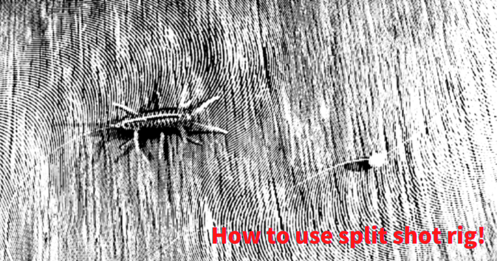 たった10分で学べる!スプリットショットリグの使い方! | 釣りたいバス釣り日記 NEO Bass fishing diary you ...