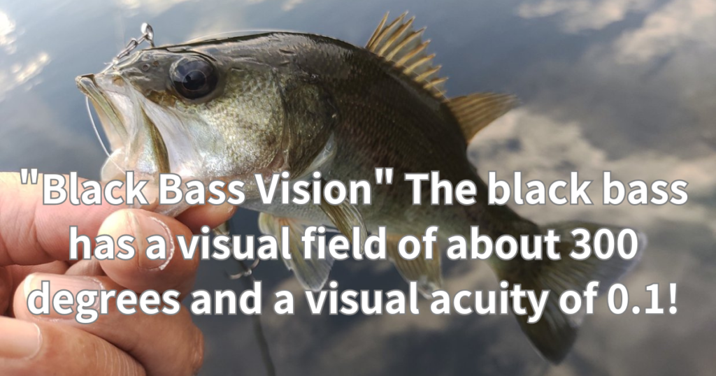 「ブラックバスの目」バスの視野は約300度で視力は0.1! | 釣りたいバス釣り日記 NEO Bass fishing diary you ...